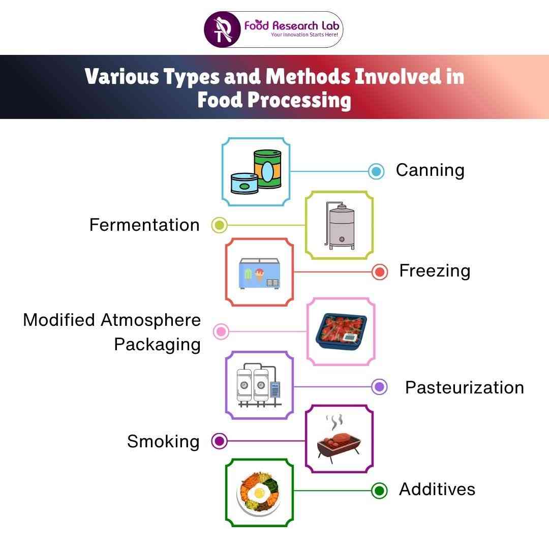 Food Processing: Methods & Examples 2026