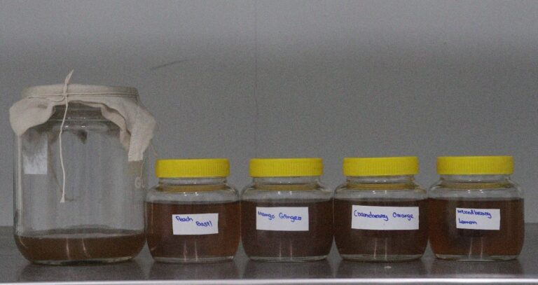 Natural Flavored Kombucha: Clean Label Fermented Tea Beverage Development